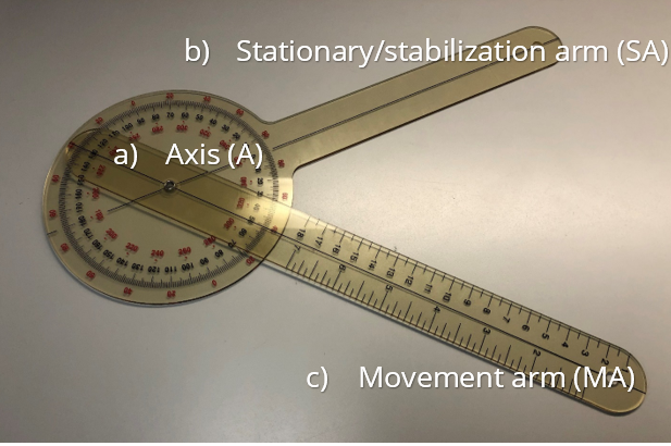 A Guide to Measuring Joint Range of Motion: Part 2