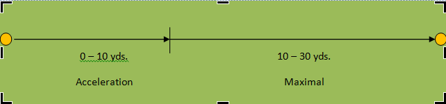 Speed and Agility Training for Basketball