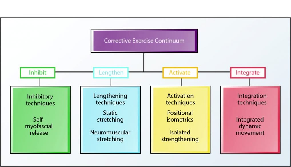 Reducing Risks of Non-Contact ACL Injury
