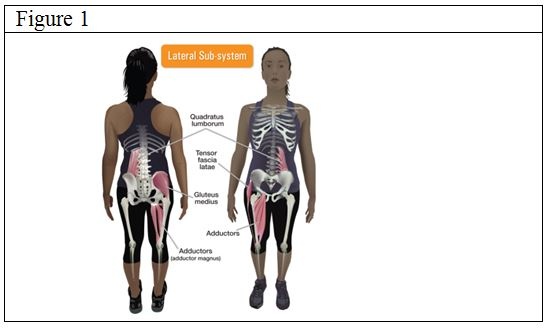 A Practical Approach to Training the Muscle Synergies