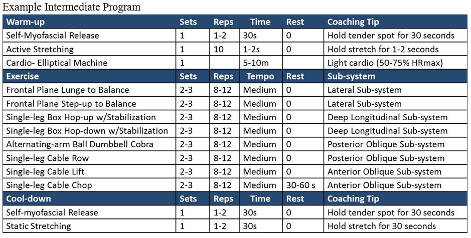 A Practical Approach to Training the Muscle Synergies
