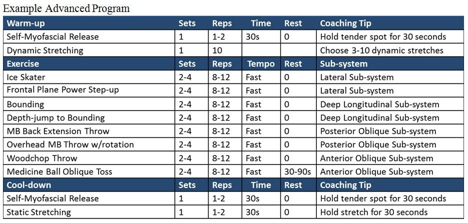 A Practical Approach to Training the Muscle Synergies