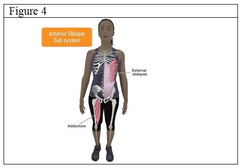 A Practical Approach to Training the Muscle Synergies