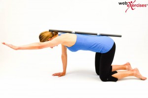 Preventing Shoulder and Rotator Cuff Injuries - NASM