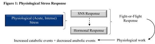 Stress Causes and Physiology Guide for Better Health