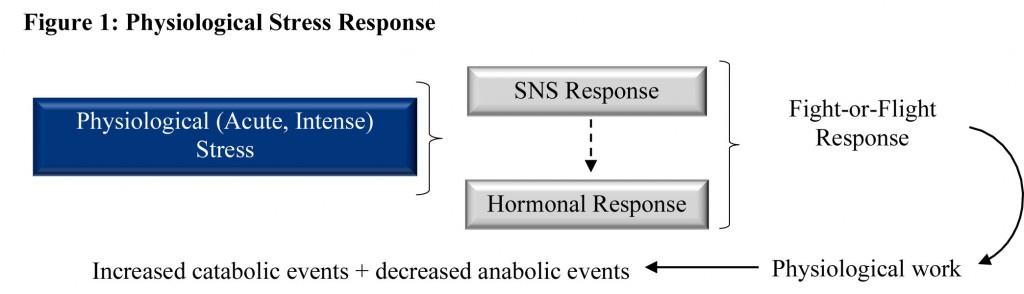 How Stress Affects The Body: A Helpful Guide