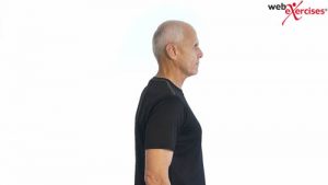 Posture Exercises for Seniors: Improving The Health of Older Clients