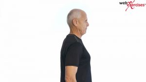 Posture Exercises for Seniors: Improving The Health of Older Clients