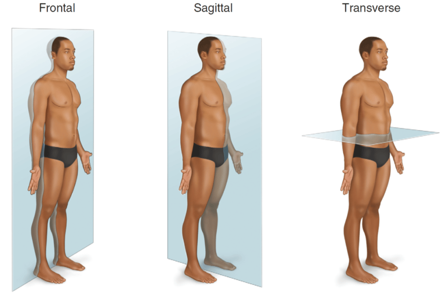 Sagittal Frontal And Transverse Body Planes Exercises Movements Sagittal Frontal And Transverse Body Planes Exercises Movements