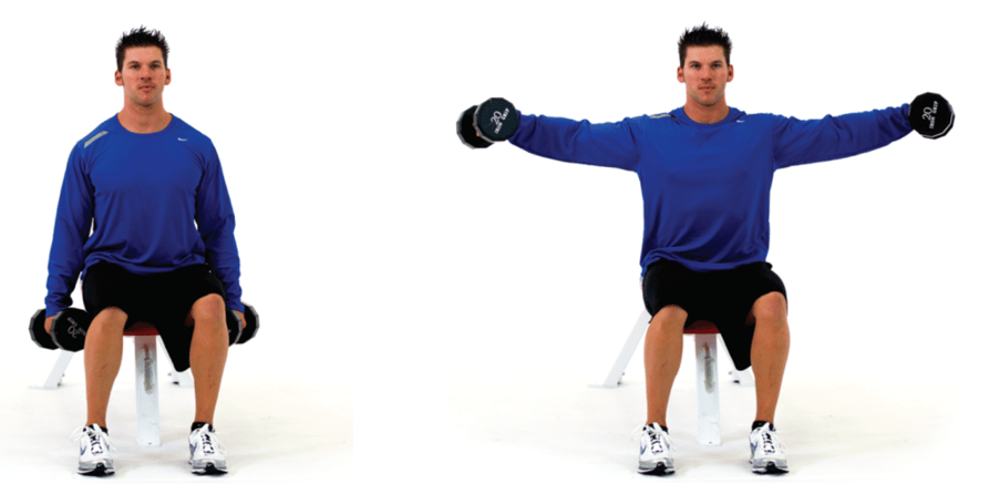 Sagittal, Frontal and Transverse Body Planes: Exercises & Movements