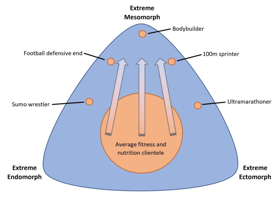 Body Types: Mesomorphs. Ectomorphs, & Endomorphs Explained