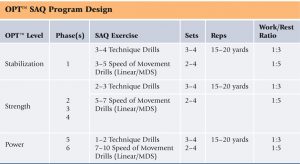 Building athletic speed, agility and quickness with the NASM-PES