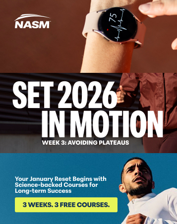 Stabilization Endurance: NASM's Optimum Performance Training