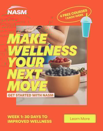 An Explanation of the New Updates to The OPT™ Model