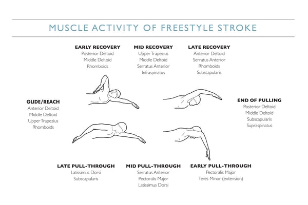 How to Prevent Swimmer's Shoulder