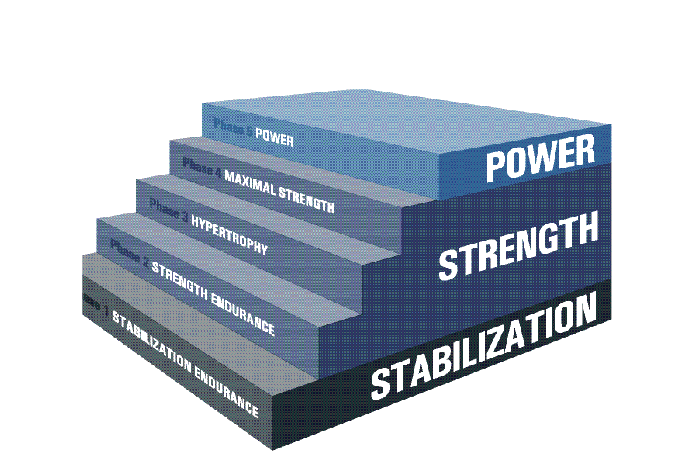 Phase 3 of the NASM OPT Model for Bodybuilders Phase 3 of the NASM OPT Model for Bodybuilders
