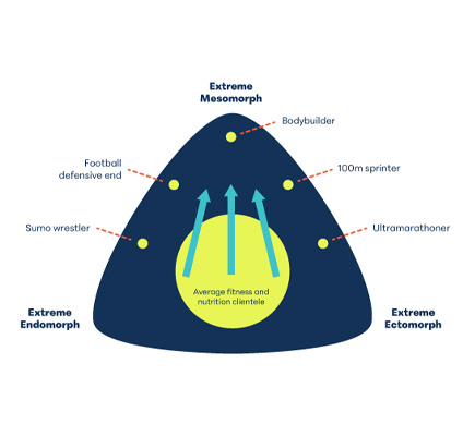 Body Types: Mesomorphs. Ectomorphs, & Endomorphs Explained