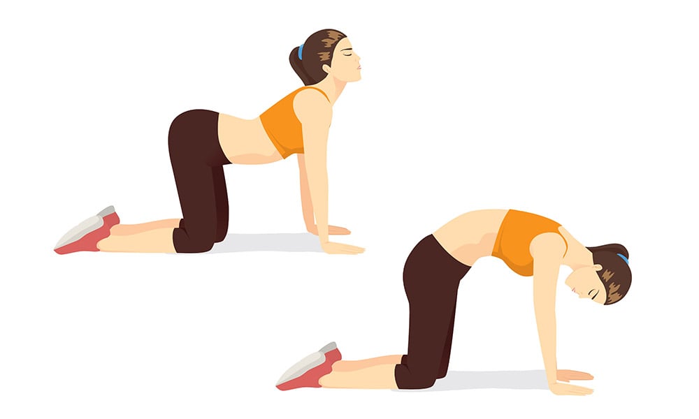 5 Week Workout Plan for Beginners to Start Fitness