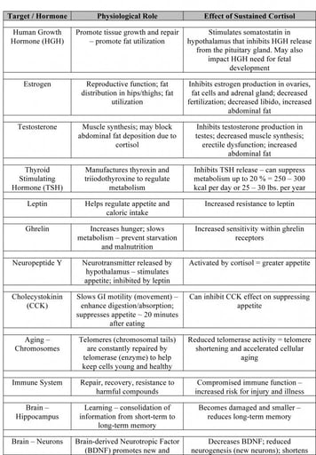 How Stress Affects The Body: A Helpful Guide