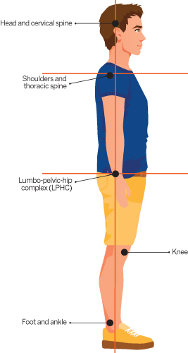What Is an “Ideal” Static Pelvic Posture? That’s Kind of a Tilted Question