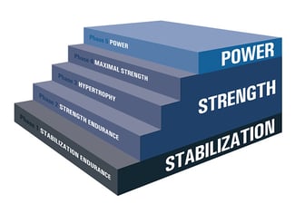 Gym Workout Return NASM OPT Tips for Client Training