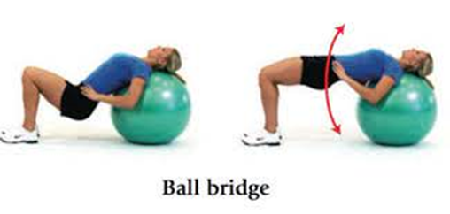 Core Exercises for Seniors: Training The Core for Older Populations